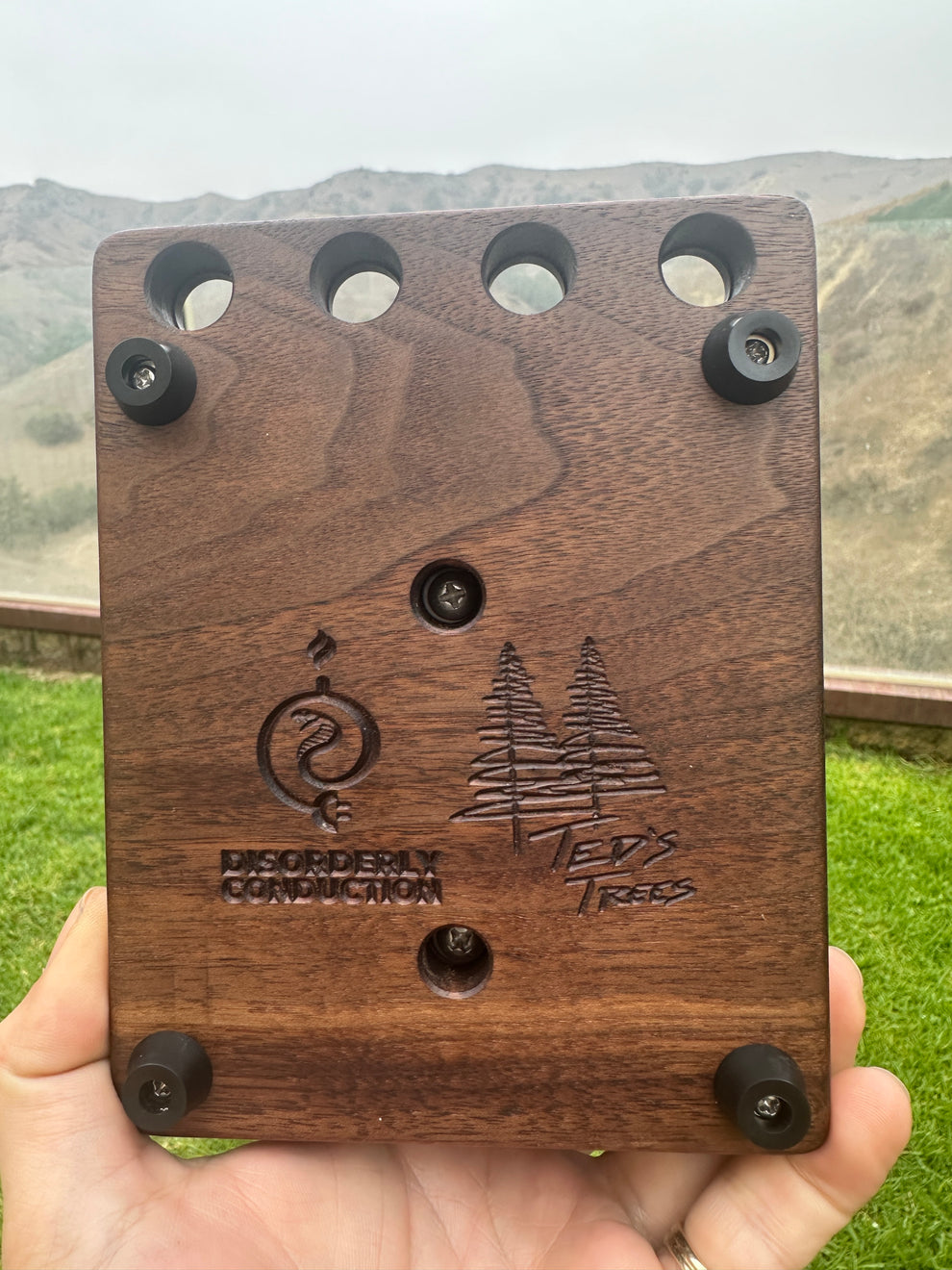 DC x Ted Trees Wood Heat Stations – Disorderly Conduction